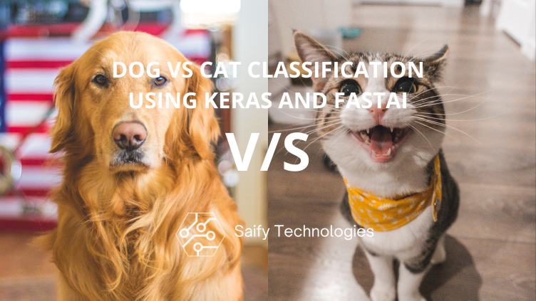 DOG VS CAT CLASSIFICATION USING KERAS AND FASTAI